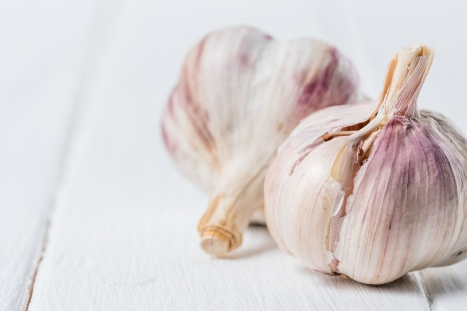 4-Step Protocol to Prevent a Cold with GARLIC – Wild Simple Joy