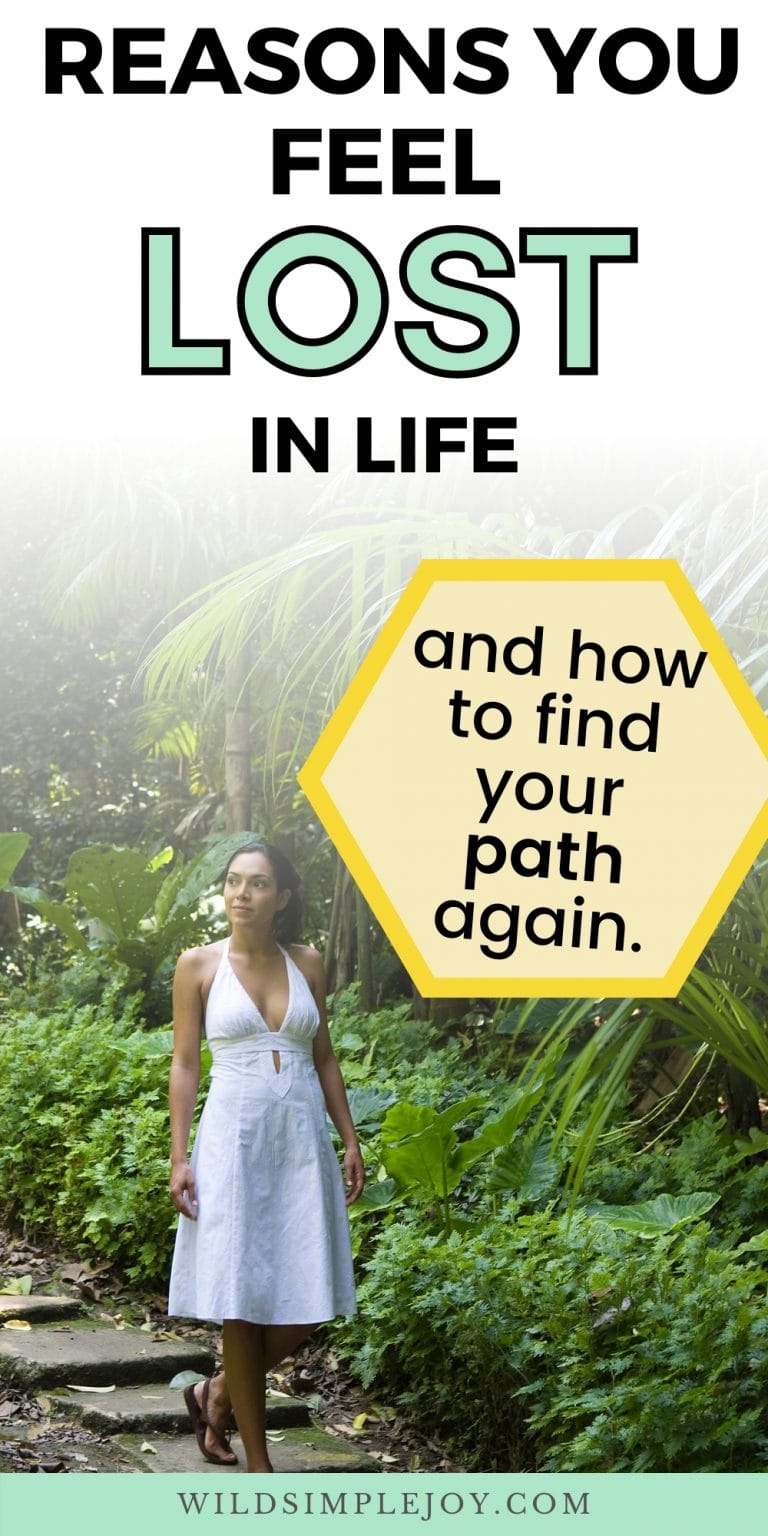 9 Reasons You Feel Lost in Life & Finding Your Path – Wild Simple...