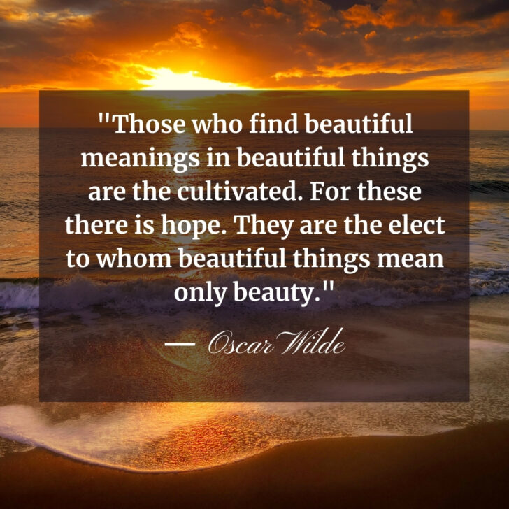 What does it mean to have a beautiful soul? – Wild Simple Joy