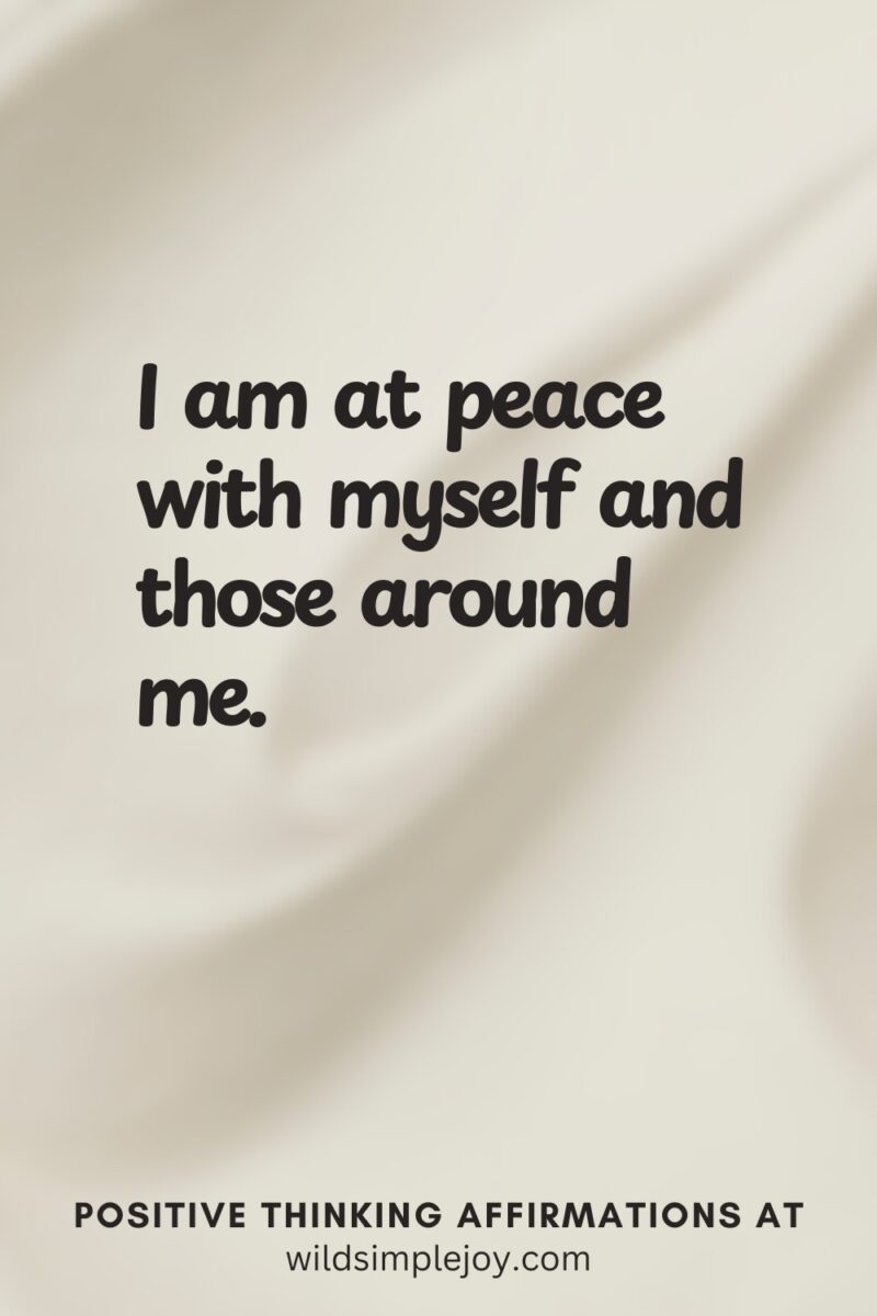 43 Positive Thinking Affirmations for a Powerful Mindset – Wild Simple Joy