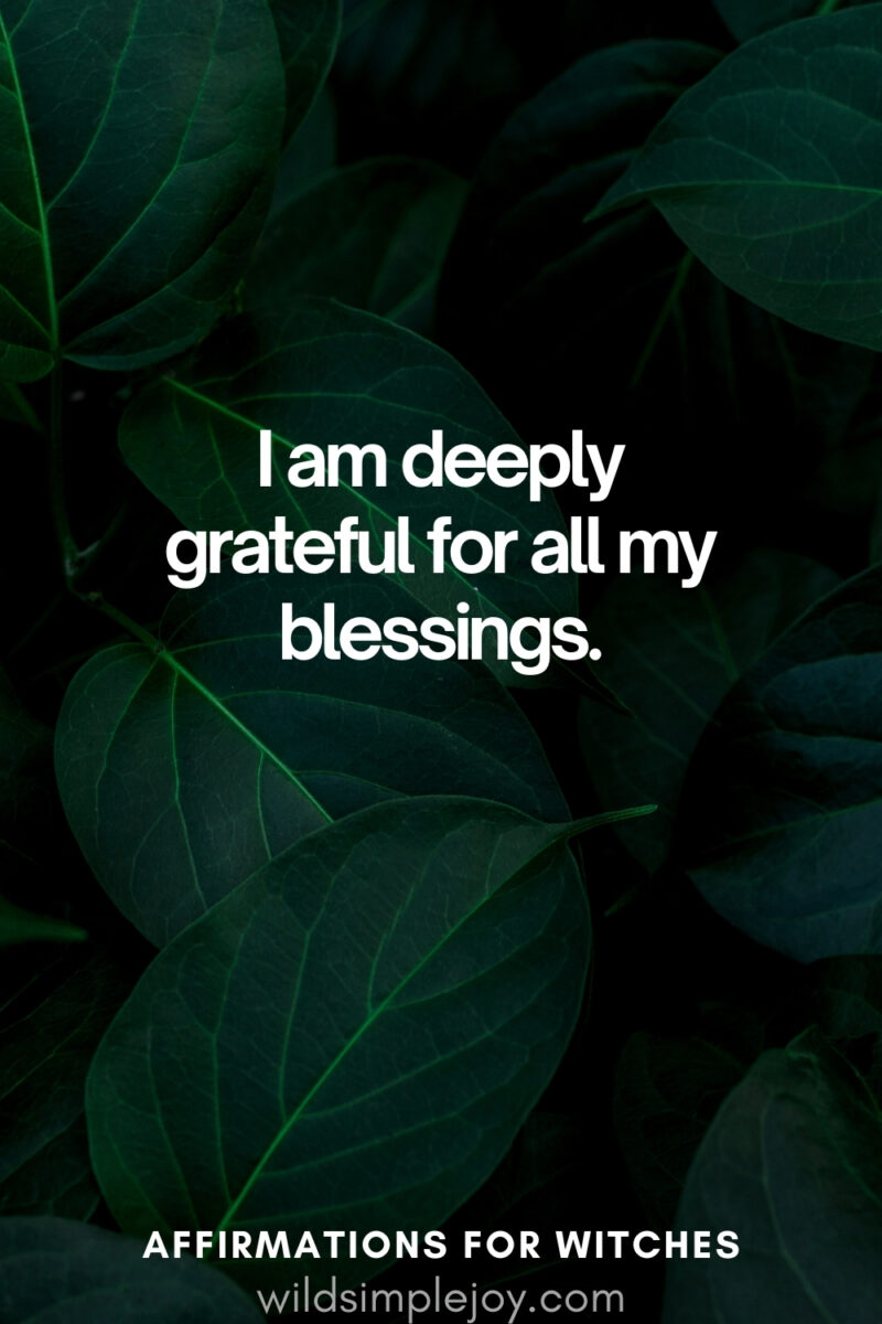66 Powerful, Witchy Affirmations for Your Daily Magick – Wild Simple Joy