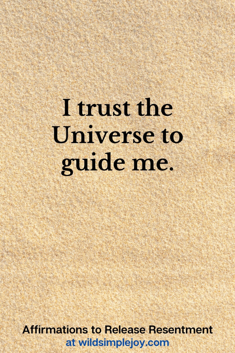 52 Affirmations to Release Resentment and Bitterness: How Women Can Let ...