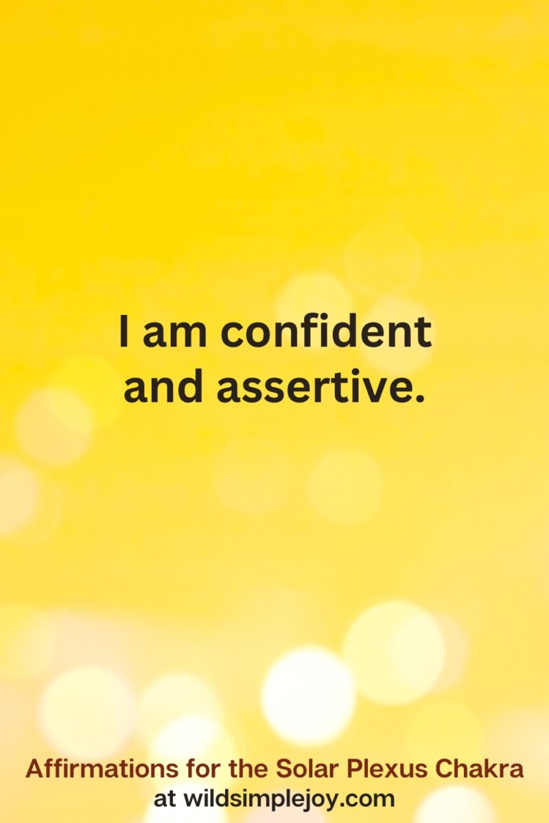 40 Empowering Solar Plexus Chakra Affirmations – Wild Simple Joy