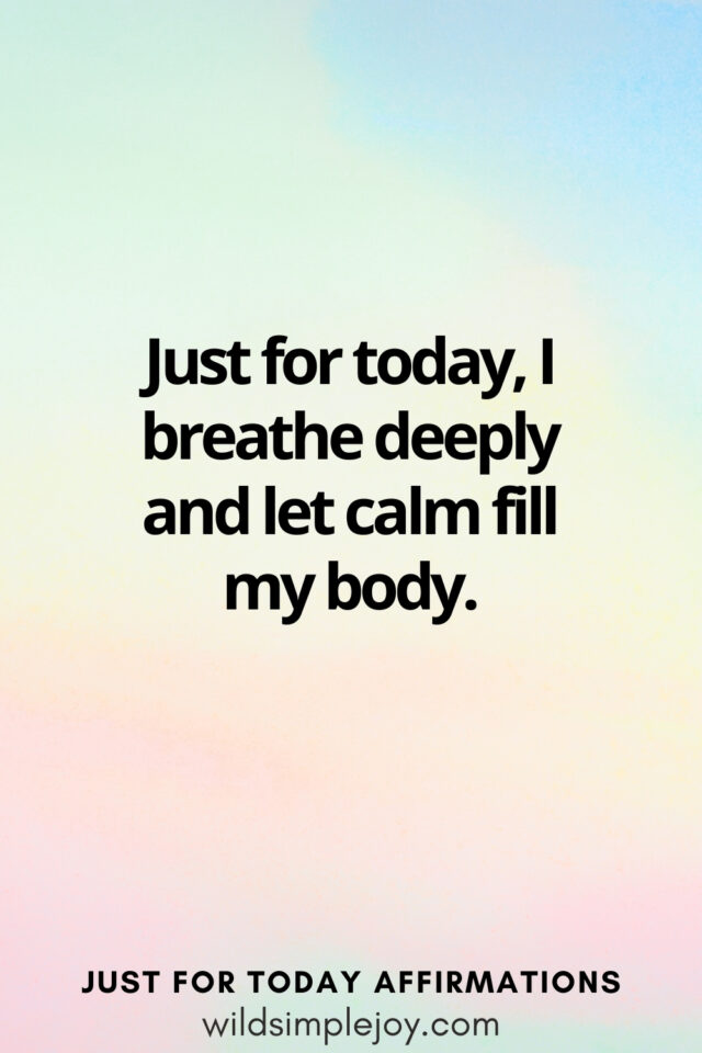 40 Just for Today Affirmations for When Everything Is Too Much – Wild ...